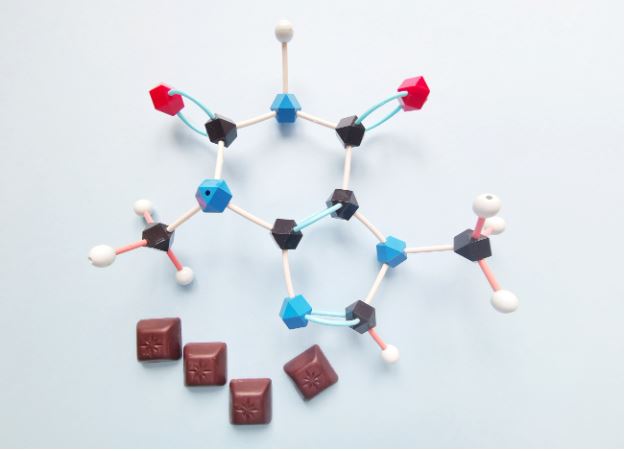 The Science Behind Why Chocolate Makes Us Happy – Amber Lyn Chocolates